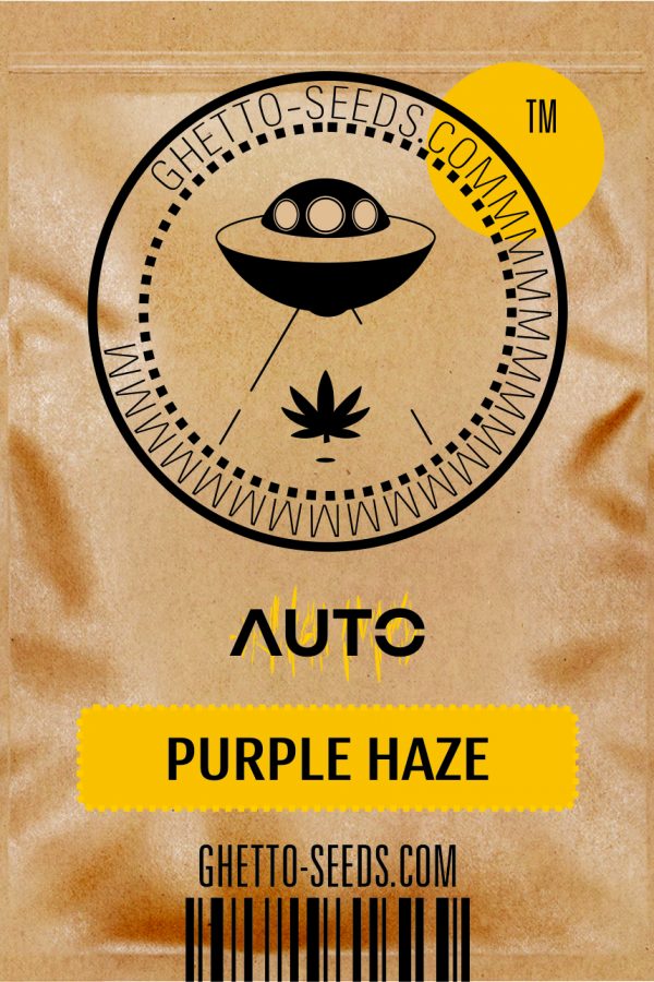 მთავარი - Growlab.ge