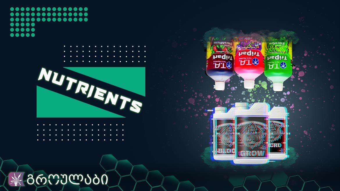 GROWLAB → GROWLAB-გროულაბი