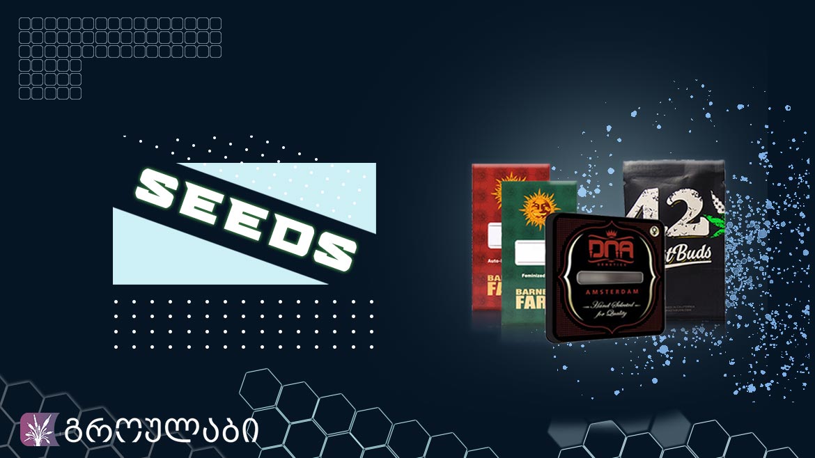 GROWLAB → GROWLAB-გროულაბი