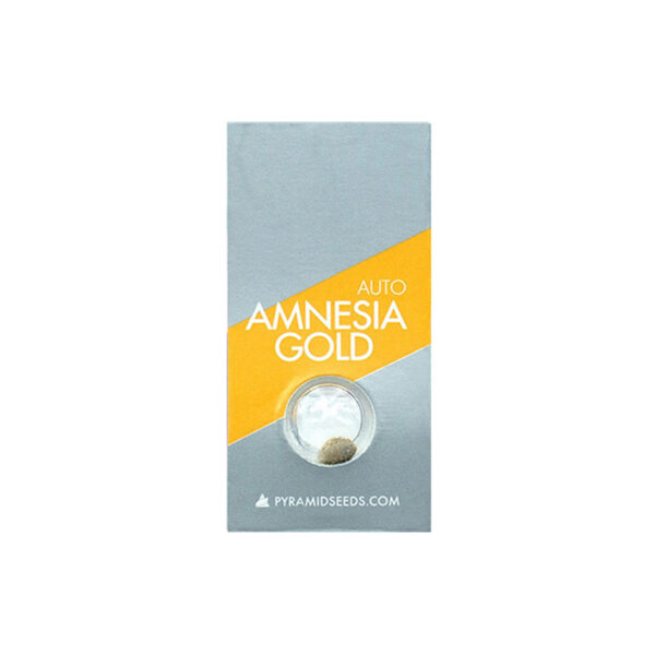AMNESIA GOLD ∆ AUTO Growlab.ge ∆ seeds in Tbilisi